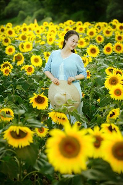 向日葵图片怎么拍_向日葵图片有哪些拍摄技巧-第2张图片-山城妙识