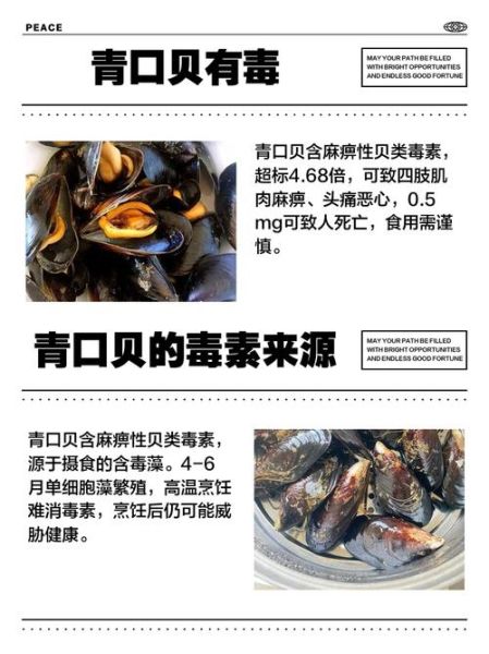 青口贝哪些部位不能吃_青口贝内脏图解-第1张图片-山城妙识 青口贝哪些部位不能吃_青口贝内脏图解-第1张图片-山城妙识