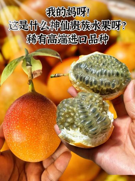 营养价值最高的水果有哪些_十大超级水果排行榜-第1张图片-山城妙识