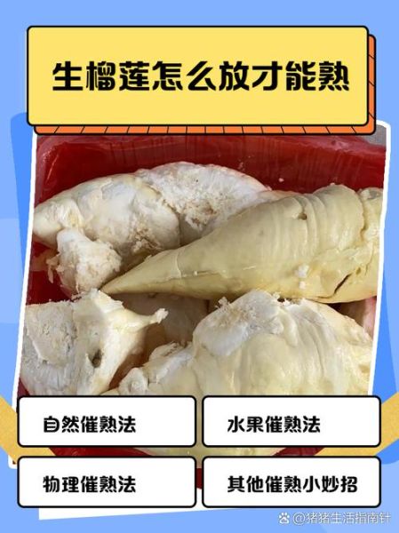 榴莲有点生怎么办_如何催熟榴莲-第1张图片-山城妙识 榴莲有点生怎么办_如何催熟榴莲-第1张图片-山城妙识