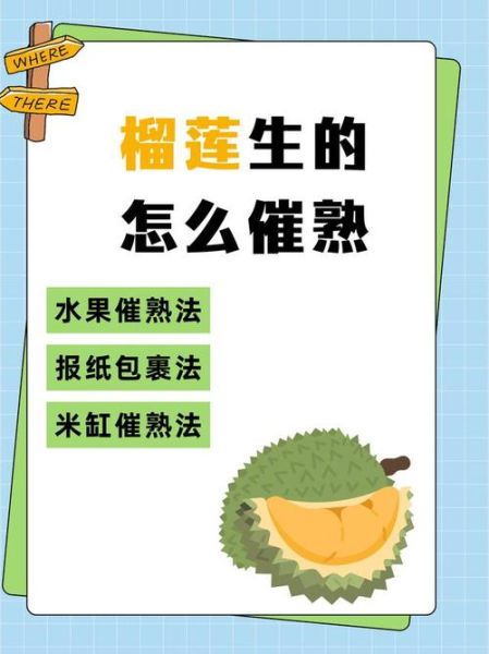 榴莲有点生怎么办_如何催熟榴莲-第2张图片-山城妙识 榴莲有点生怎么办_如何催熟榴莲-第2张图片-山城妙识