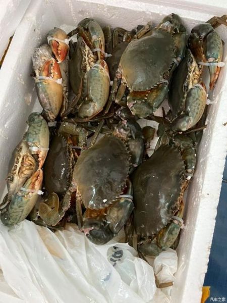 死河蟹能吃吗_死河蟹怎么吃最安全-第3张图片-山城妙识