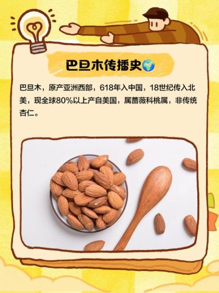 美国大杏仁的功效与作用_每天吃多少才健康-第3张图片-山城妙识