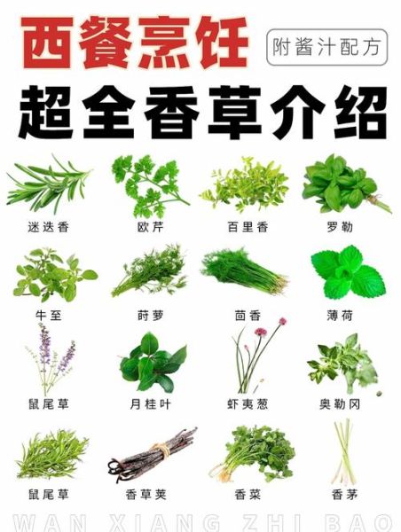 百里香的功效与作用_百里香怎么用效果最好-第3张图片-山城妙识 百里香的功效与作用_百里香怎么用效果最好-第3张图片-山城妙识