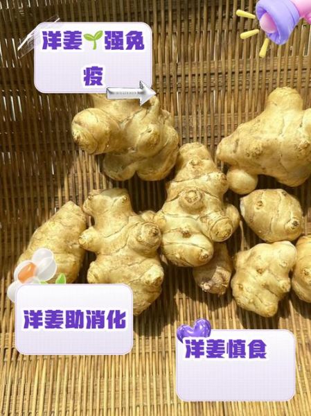 吃洋姜会得病吗_洋姜的危害有哪些-第3张图片-山城妙识 吃洋姜会得病吗_洋姜的危害有哪些-第3张图片-山城妙识