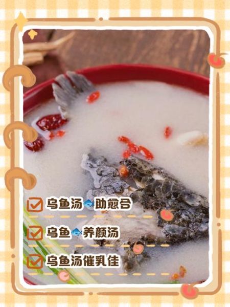 乌鱼子汤怎么做_乌鱼子汤功效与禁忌-第3张图片-山城妙识 乌鱼子汤怎么做_乌鱼子汤功效与禁忌-第3张图片-山城妙识