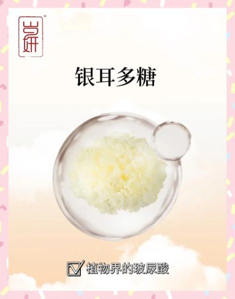 银耳多糖对皮肤的功效与作用_银耳多糖真的能抗衰老吗-第1张图片-山城妙识