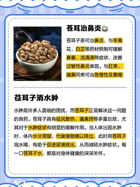 苍耳煮水治皮肤病有效吗_苍耳煮水怎么用-第1张图片-山城妙识 苍耳煮水治皮肤病有效吗_苍耳煮水怎么用-第1张图片-山城妙识