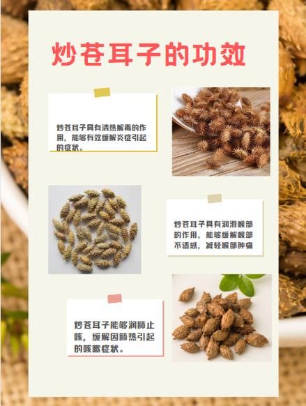 苍耳煮水治皮肤病有效吗_苍耳煮水怎么用-第2张图片-山城妙识 苍耳煮水治皮肤病有效吗_苍耳煮水怎么用-第2张图片-山城妙识