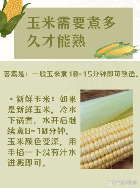 一根玉米要煮多久才熟_玉米煮多久口感最好-第2张图片-山城妙识