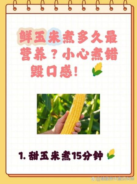 一根玉米要煮多久才熟_玉米煮多久口感最好-第3张图片-山城妙识