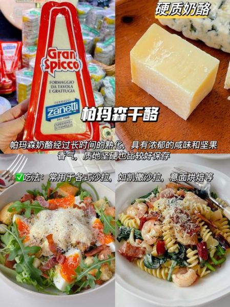 一片一片的奶酪怎么吃_奶酪吃法大全-第3张图片-山城妙识