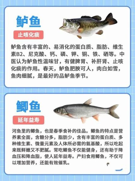 鱼的营养价值_吃鱼有什么好处-第1张图片-山城妙识 鱼的营养价值_吃鱼有什么好处-第1张图片-山城妙识