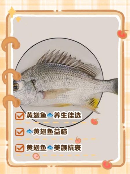 鱼的营养价值_吃鱼有什么好处-第3张图片-山城妙识 鱼的营养价值_吃鱼有什么好处-第3张图片-山城妙识