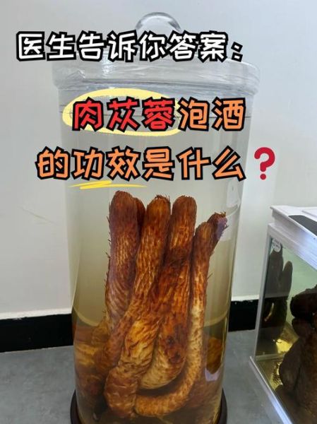肉苁蓉可以泡水喝吗_肉苁蓉泡水正确方法-第1张图片-山城妙识