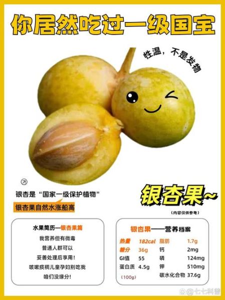 银杏果的功效与作用_银杏果怎么吃最营养-第3张图片-山城妙识