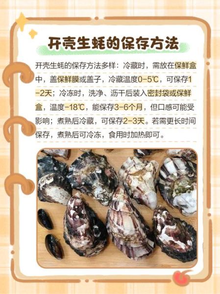 没开壳的生蚝能放几天_生蚝冷藏保鲜多久-第2张图片-山城妙识