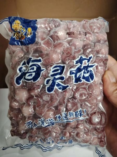 海蘑菇泡水喝的功效_海蘑菇泡水有什么禁忌-第1张图片-山城妙识