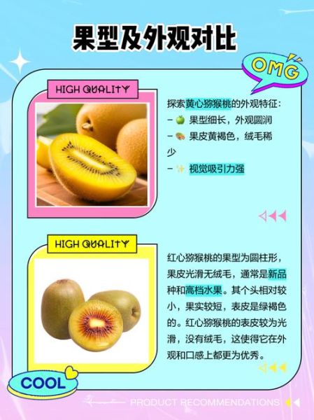 哪种猕猴桃最好吃_红心黄心绿心怎么选-第1张图片-山城妙识 哪种猕猴桃最好吃_红心黄心绿心怎么选-第1张图片-山城妙识