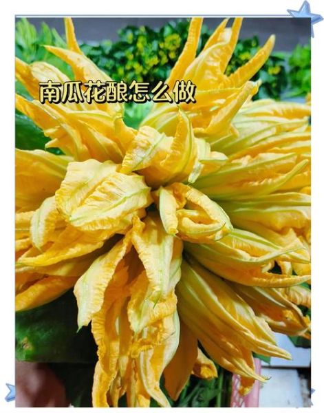 南瓜花怎么做好吃_南瓜花做法大全图解-第3张图片-山城妙识