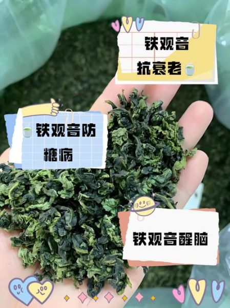 喝铁观音的好处与功效_铁观音适合什么人喝-第2张图片-山城妙识