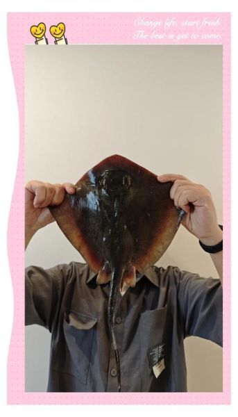 鳐鱼怎么清洗_鳐鱼怎么去除氨味-第1张图片-山城妙识 鳐鱼怎么清洗_鳐鱼怎么去除氨味-第1张图片-山城妙识