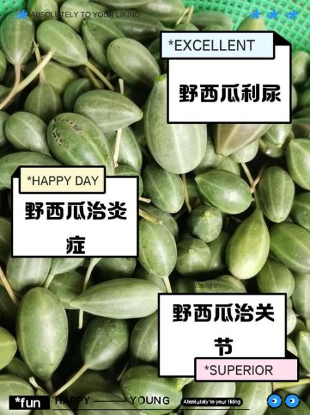 野西瓜的功效与作用_野西瓜怎么吃最好-第2张图片-山城妙识 野西瓜的功效与作用_野西瓜怎么吃最好-第2张图片-山城妙识