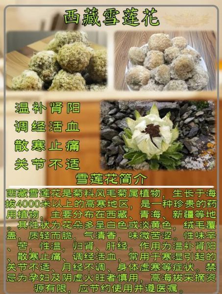雪莲子泡多久才可以煮_雪莲子泡发时间-第3张图片-山城妙识