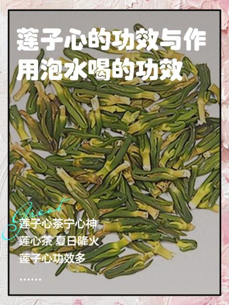 莲子心茶怎么做_莲子心茶的功效与禁忌-第1张图片-山城妙识