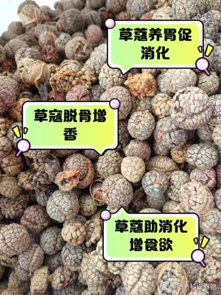 草寇香料是什么_草寇香料怎么用-第1张图片-山城妙识
