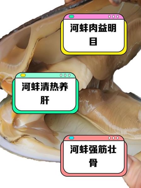 冰冻河蚌肉怎么清洗_河蚌肉去沙技巧-第3张图片-山城妙识