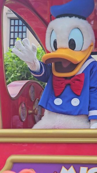 唐老鸭头像怎么画_唐老鸭头像高清壁纸哪里下载-第3张图片-山城妙识