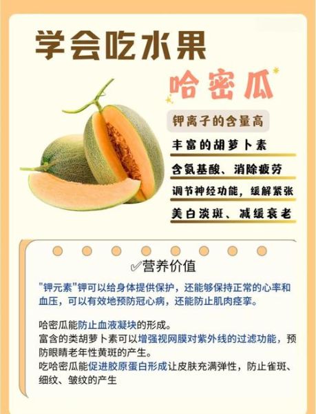 哈密瓜的作用与功效_哈密瓜上火还是降火-第1张图片-山城妙识
