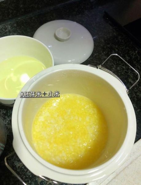 番茄牛肉粥怎么做给宝宝吃_番茄牛肉粥宝宝辅食做法-第3张图片-山城妙识