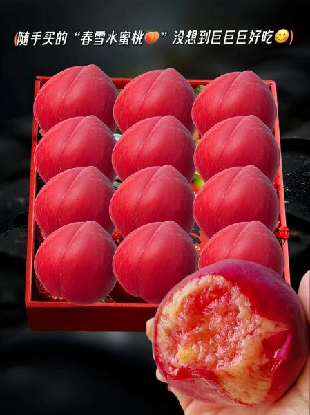 水蜜桃多少钱一斤_水蜜桃价格受哪些因素影响-第3张图片-山城妙识