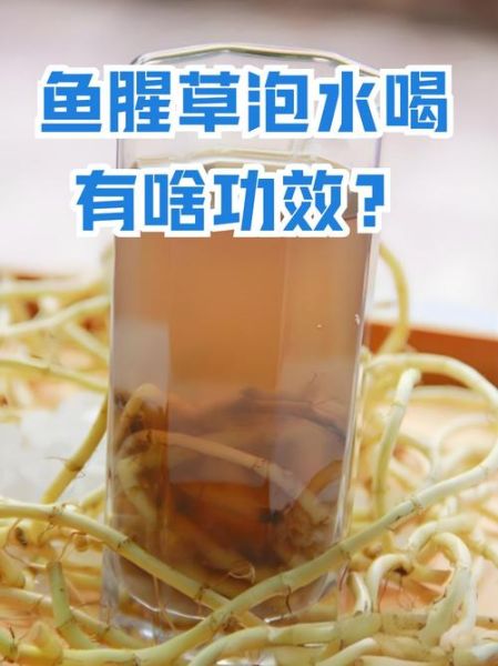 鱼腥草的功效与作用有哪些_鱼腥草能天天泡水喝吗-第2张图片-山城妙识 鱼腥草的功效与作用有哪些_鱼腥草能天天泡水喝吗-第2张图片-山城妙识