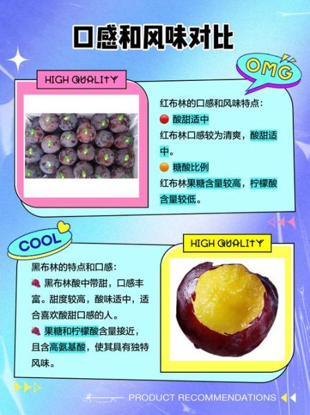 红布林的功效与作用_红布林怎么吃最好-第1张图片-山城妙识 红布林的功效与作用_红布林怎么吃最好-第1张图片-山城妙识