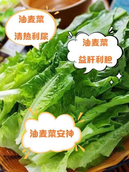 油麦菜是凉性还是热性_油麦菜寒性体质能吃吗-第3张图片-山城妙识 油麦菜是凉性还是热性_油麦菜寒性体质能吃吗-第3张图片-山城妙识