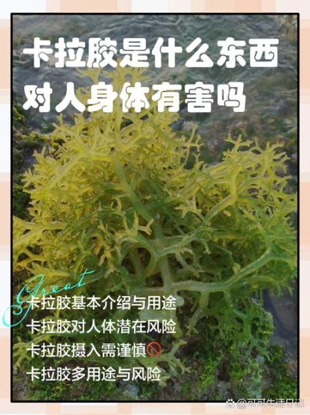 卡拉胶的作用与功效_卡拉胶对人体有害吗-第2张图片-山城妙识