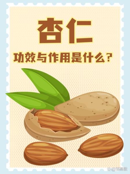 吃杏仁有什么好处_吃杏仁的功效与作用-第2张图片-山城妙识