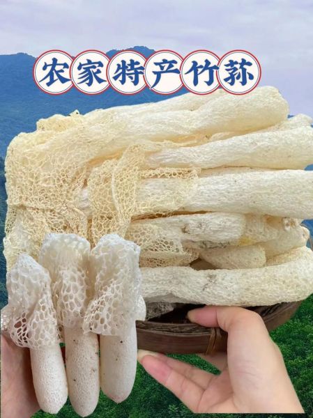 竹荪哪里产地最好_如何挑选优质竹荪-第1张图片-山城妙识