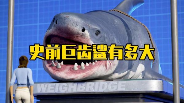 巨齿鲨还存在吗_巨齿鲨最大能长到多大-第2张图片-山城妙识