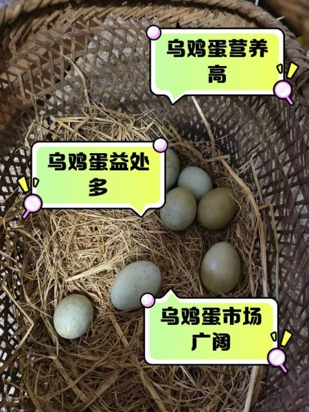 乌鸡蛋不能和什么一起吃_乌鸡蛋相克食物有哪些-第1张图片-山城妙识 乌鸡蛋不能和什么一起吃_乌鸡蛋相克食物有哪些-第1张图片-山城妙识