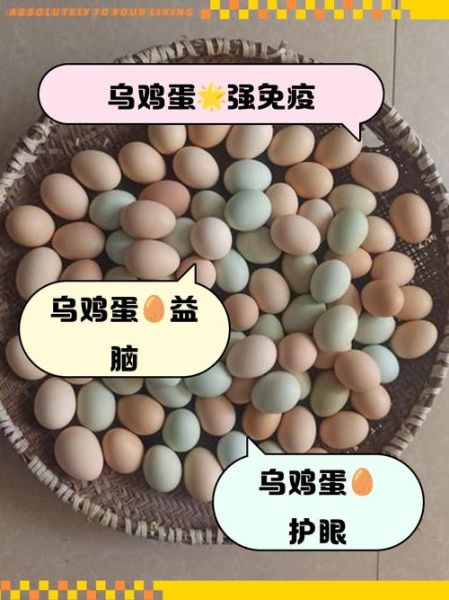 乌鸡蛋不能和什么一起吃_乌鸡蛋相克食物有哪些-第3张图片-山城妙识 乌鸡蛋不能和什么一起吃_乌鸡蛋相克食物有哪些-第3张图片-山城妙识