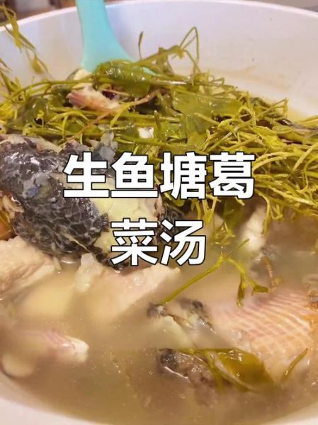 葛鱼怎么做最好吃_葛鱼去腥技巧有哪些-第2张图片-山城妙识