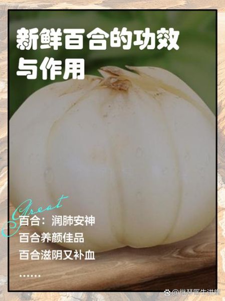 百合有什么功效_百合怎么吃效果最好-第1张图片-山城妙识