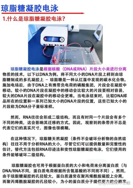 琼脂糖凝胶的制备步骤_如何配制1%琼脂糖凝胶-第3张图片-山城妙识