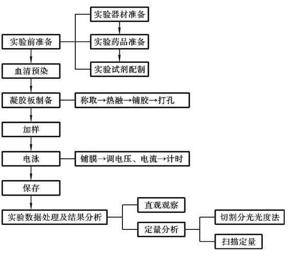 琼脂糖凝胶的制备步骤_如何配制1%琼脂糖凝胶-第2张图片-山城妙识