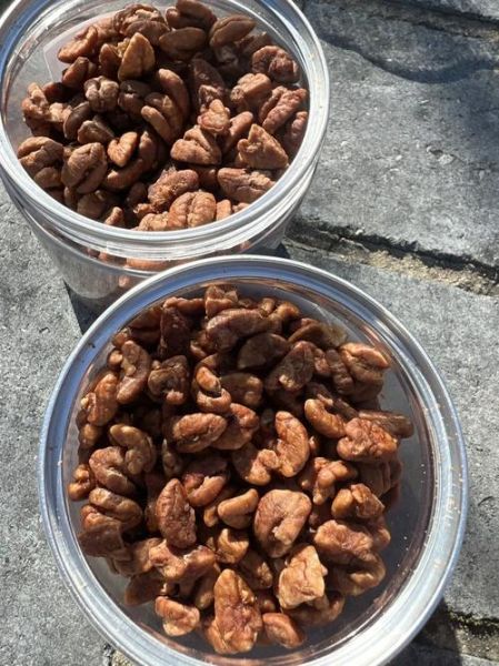 山核桃仁多少钱一斤_山核桃仁价格为什么差距大-第2张图片-山城妙识