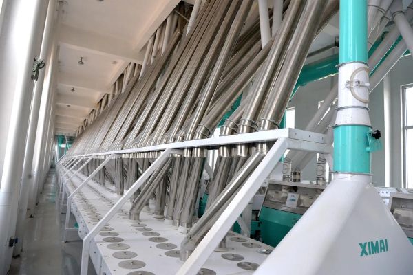 玉米面粉加工设备多少钱一套_玉米面粉加工设备哪家好-第1张图片-山城妙识 玉米面粉加工设备多少钱一套_玉米面粉加工设备哪家好-第1张图片-山城妙识